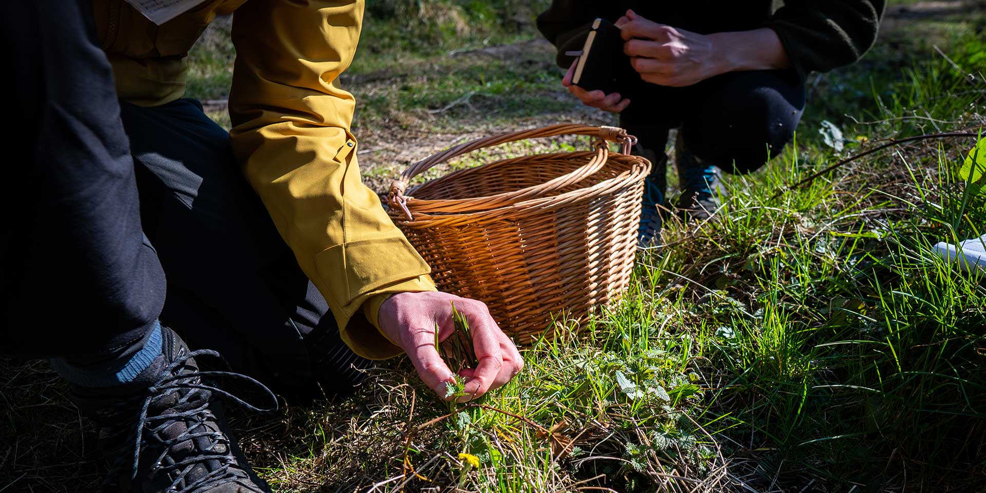 De 8 voordelen van wildplukken - BUIT